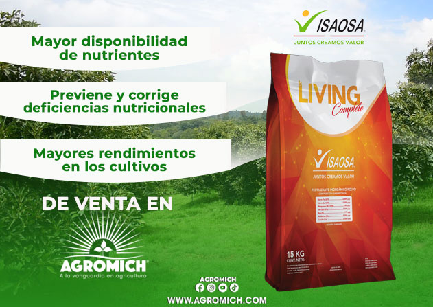 Fertilización: claves para una nutrición óptima de tus cultivos | Agromich