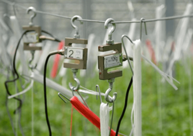 La agricultura basada en datos | Agromich