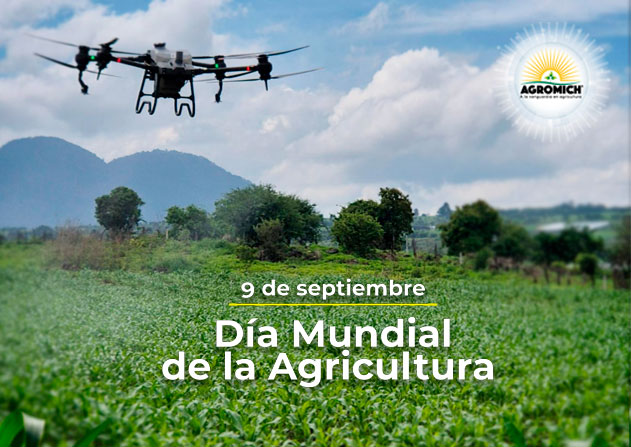 El Día Mundial de la Agricultura: Celebrando a los Héroes del Campo ...