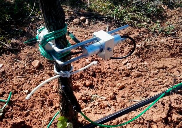 Día Mundial de la Salud Ambiental y su Relación con la Agricultura de ...