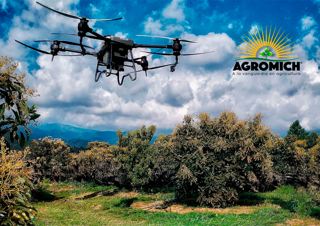 Asesoría Técnica de AGROMICH: Innovación y conocimiento al servicio de ...